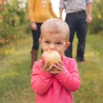 Gaver Farm - Mt. Airy MD | Pick Your Own Apples & Pumpkins