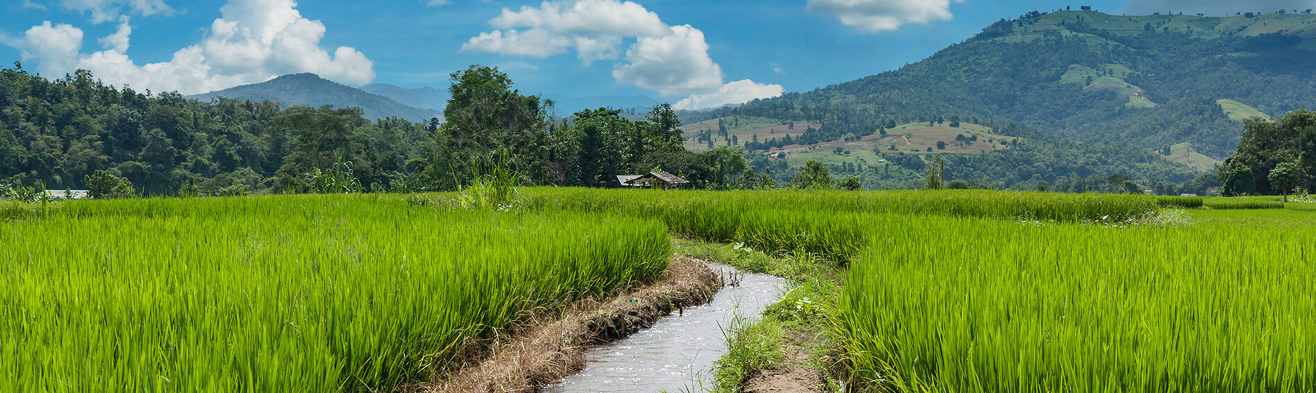 Gaver Farm - Mt. Airy MD | Pick Your Own Apples & Pumpkins