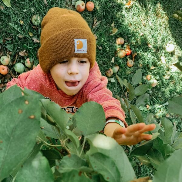 Complete Guide For How To Pick Apples | Apple Picking Maryland