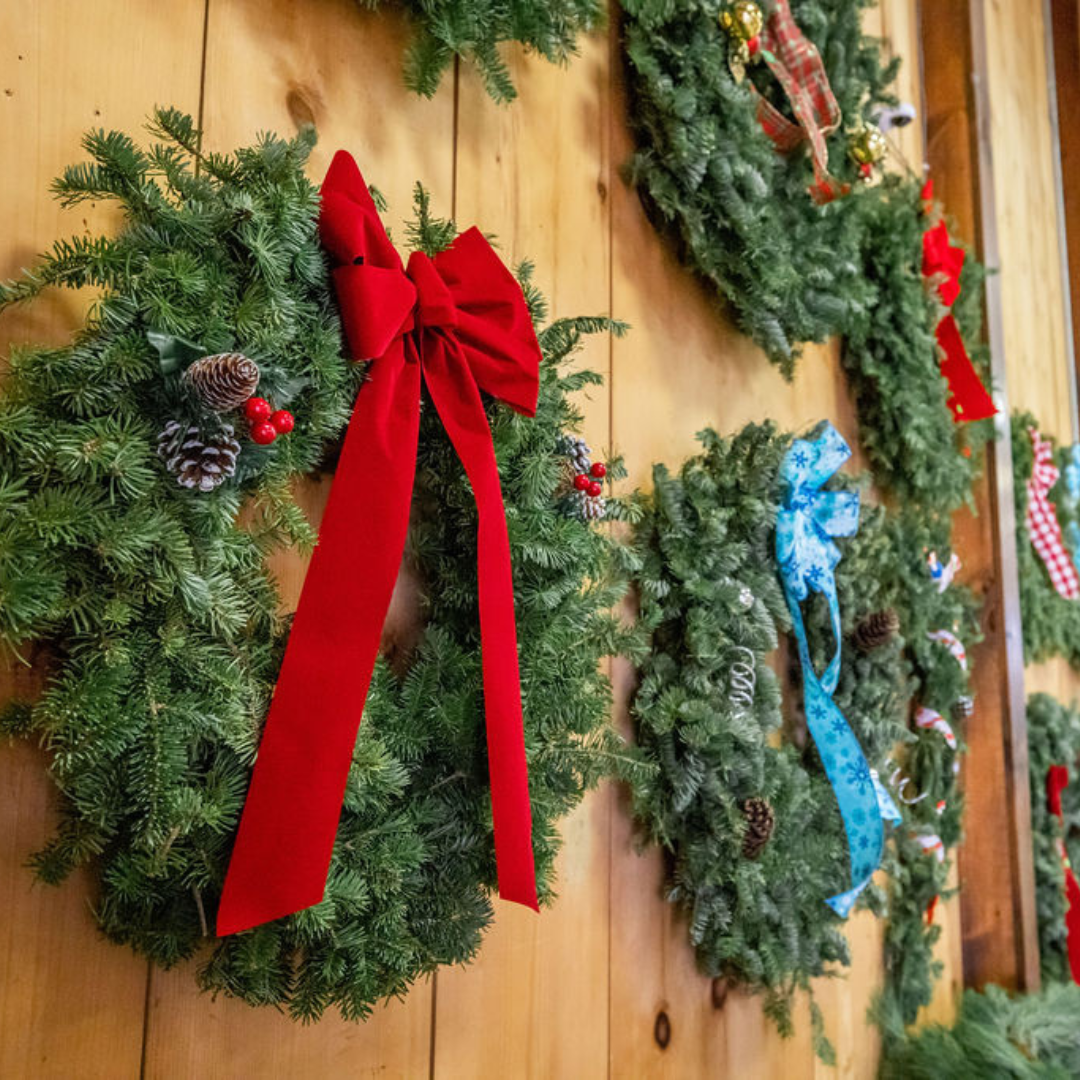 Gaver Farm - Mt. Airy MD | Pick Your Own Apples & Pumpkins